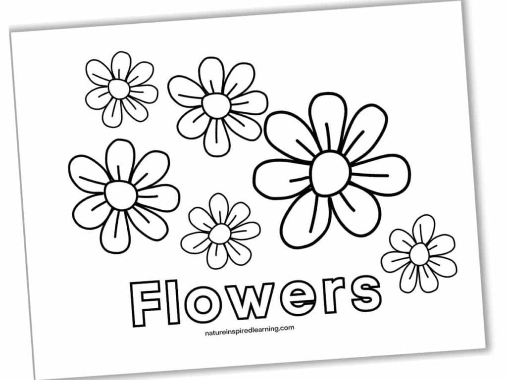 Beautiful Flower Coloring Pages - Nature Inspired Learning