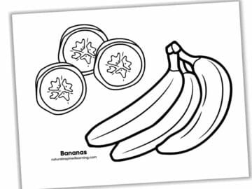 Banana Coloring Pages - Nature Inspired Learning
