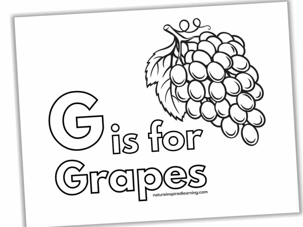 Grape Coloring Pages - Nature Inspired Learning