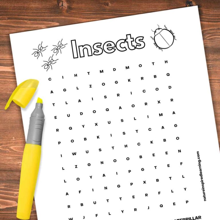 Free Insect Printables and Activities for Kids - Nature Inspired