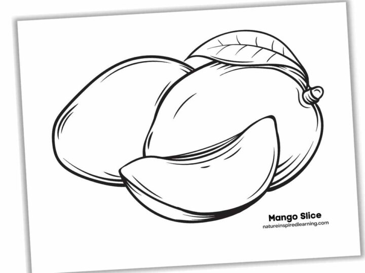 Mango Coloring Pages - Nature Inspired Learning
