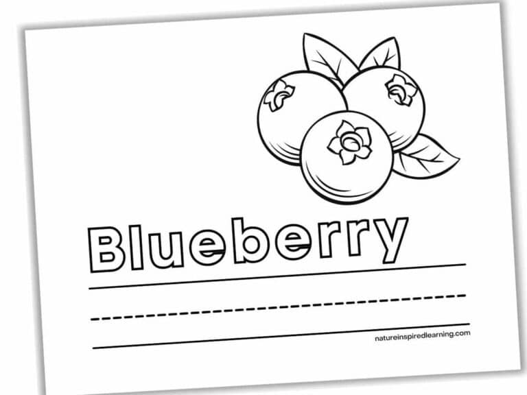 Blueberry Coloring Pages - Nature Inspired Learning