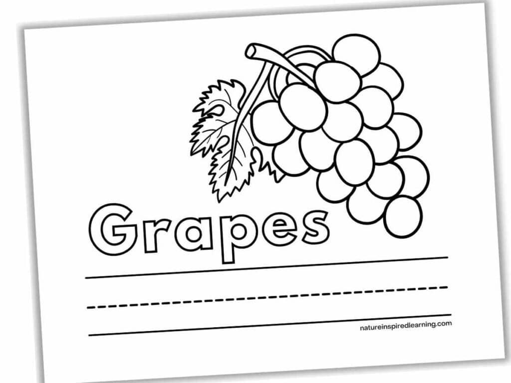 Grape Coloring Pages - Nature Inspired Learning