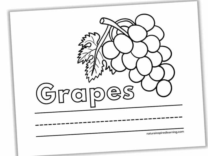 Grape Coloring Pages - Nature Inspired Learning