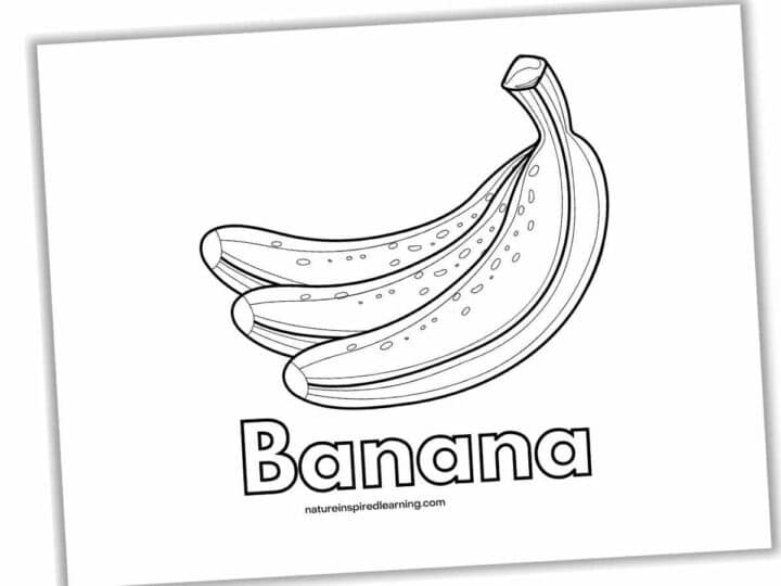 Banana Coloring Pages - Nature Inspired Learning