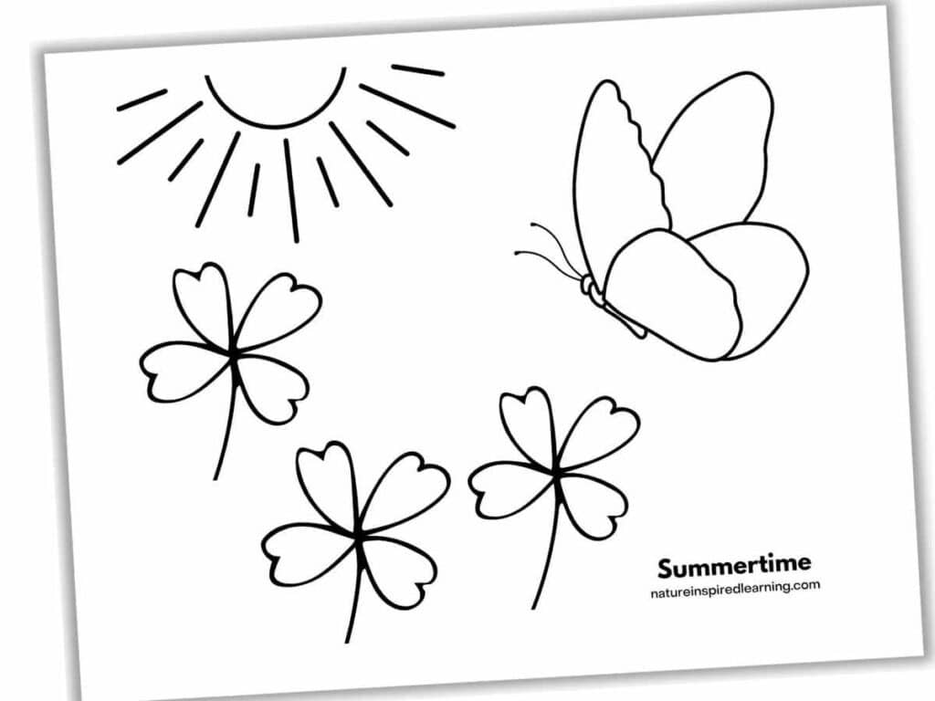 Summer Coloring Pages - Nature Inspired Learning