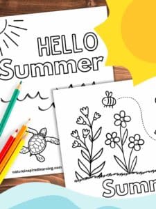 Summer Coloring Pages - Nature Inspired Learning