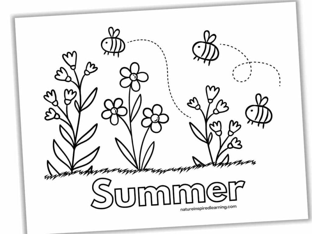 Summer Coloring Pages - Nature Inspired Learning