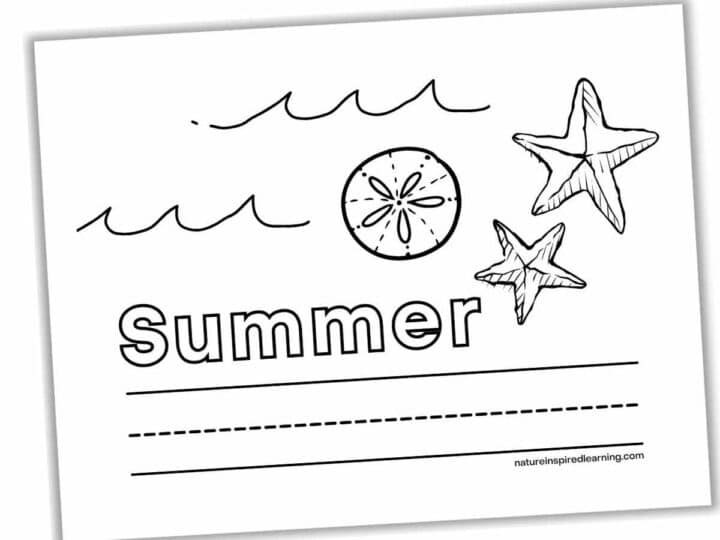 Summer Coloring Pages - Nature Inspired Learning