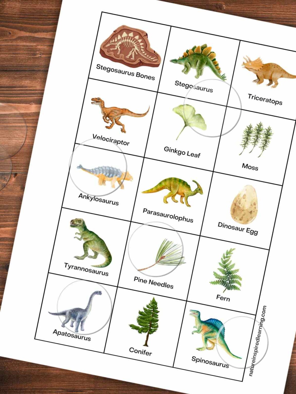 Dinosaur BINGO Game - Nature Inspired Learning