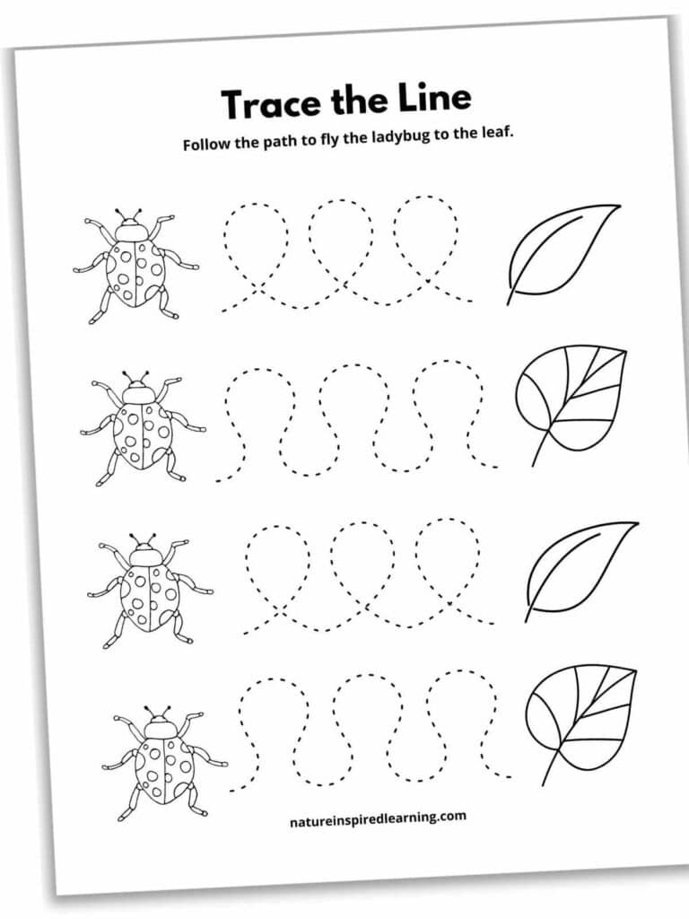 17 Line Tracing Worksheets (Free) - Nature Inspired Learning