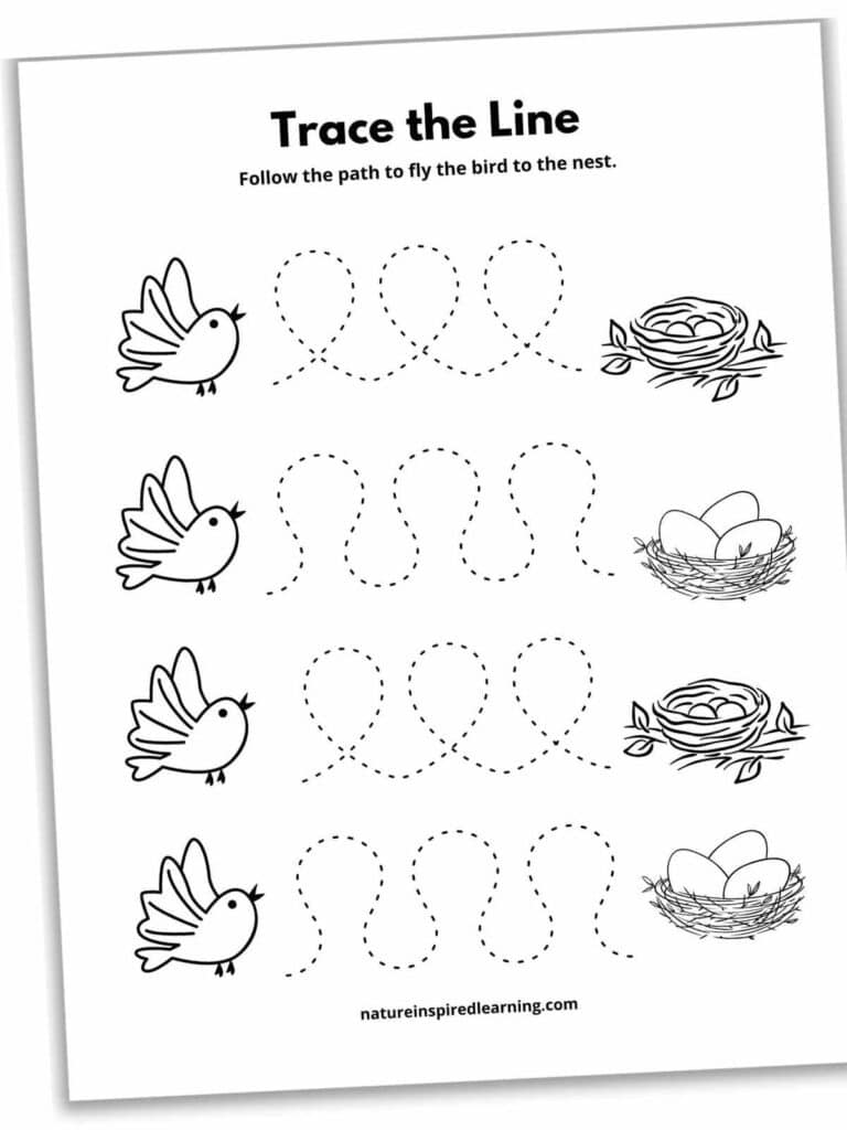 17 Line Tracing Worksheets (Free) - Nature Inspired Learning