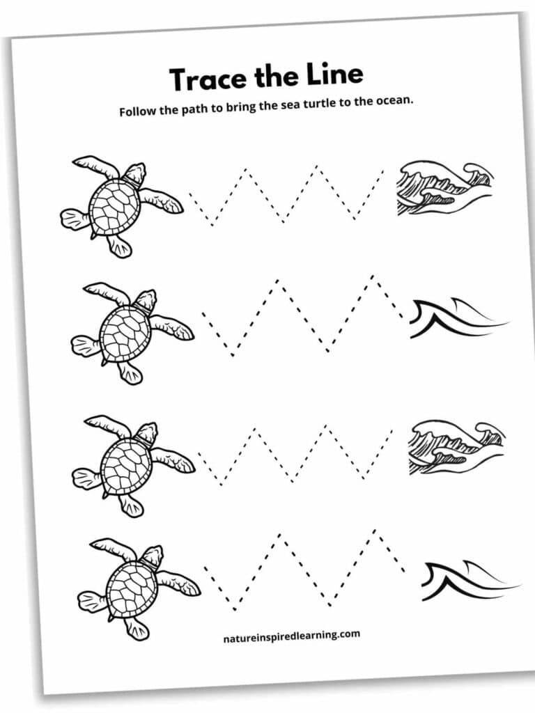 17 Line Tracing Worksheets (Free) - Nature Inspired Learning