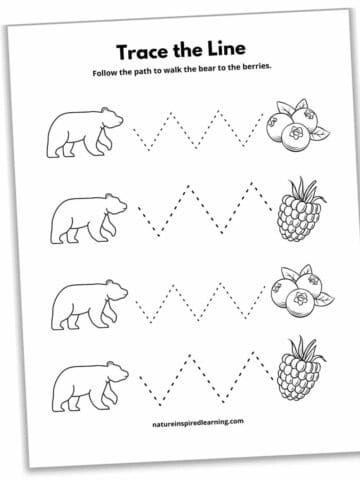 17 Line Tracing Worksheets (Free) - Nature Inspired Learning