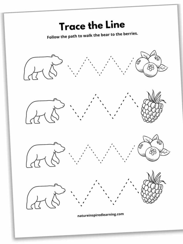 17 Line Tracing Worksheets (Free) - Nature Inspired Learning