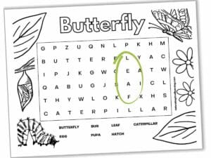 Butterfly Word Searches - Nature Inspired Learning