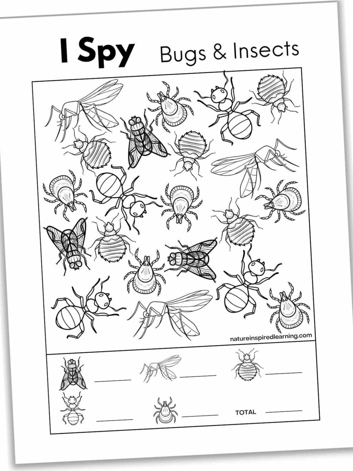 5 Bug and Insect I Spy Printables - Nature Inspired Learning