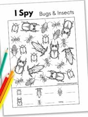 5 Bug and Insect I Spy Printables - Nature Inspired Learning
