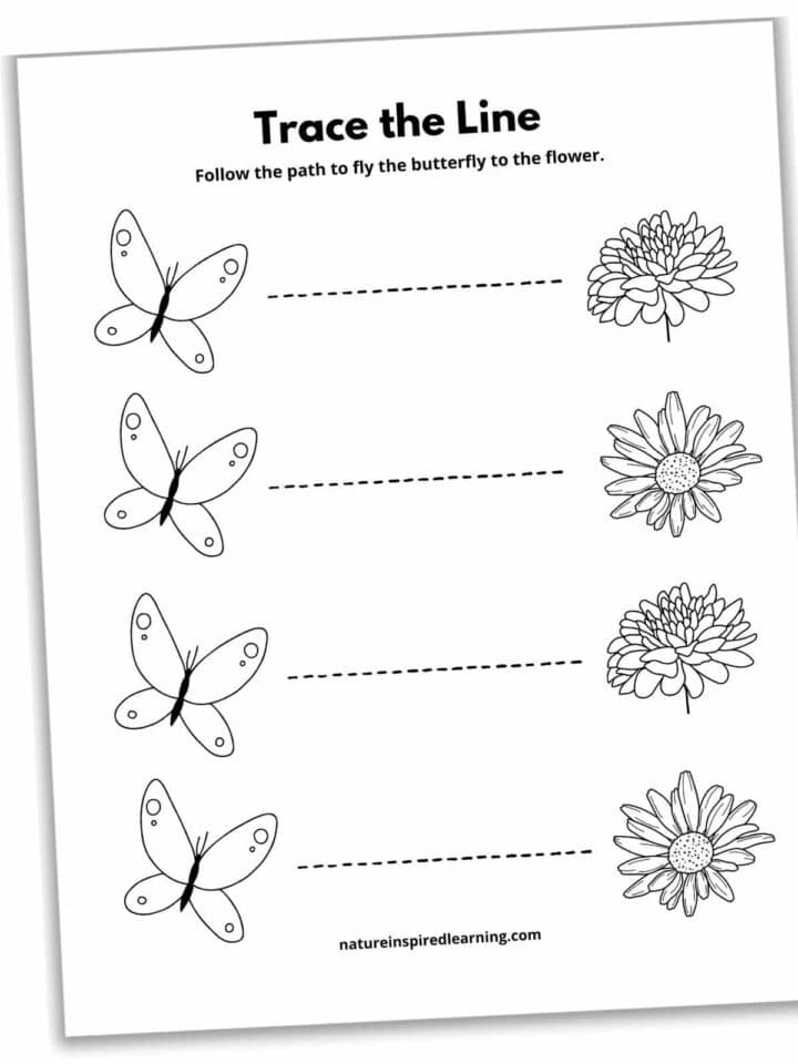 17 Line Tracing Worksheets (Free) - Nature Inspired Learning