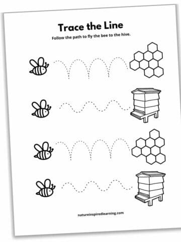 17 Line Tracing Worksheets (Free) - Nature Inspired Learning