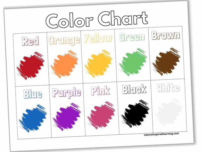 Color Charts Plus Activity Ideas - Nature Inspired Learning