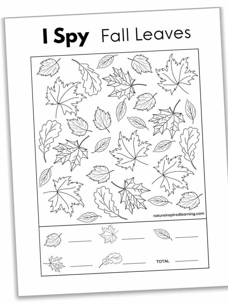 8 Fall I Spy Printables - Nature Inspired Learning