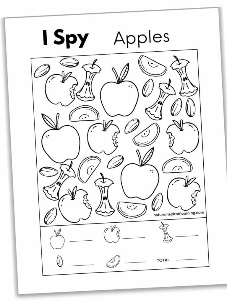 8 Fall I Spy Printables - Nature Inspired Learning