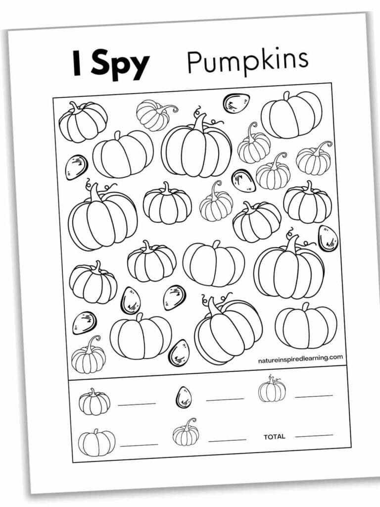 8 Fall I Spy Printables - Nature Inspired Learning