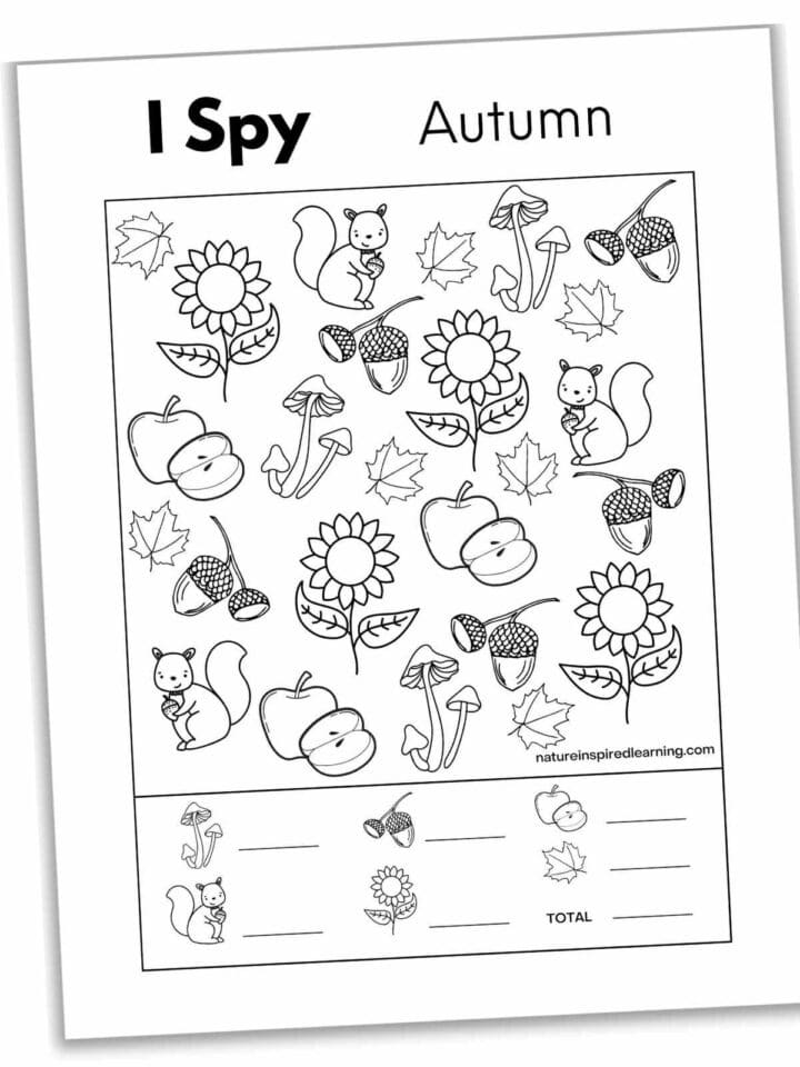 8 Fall I Spy Printables - Nature Inspired Learning