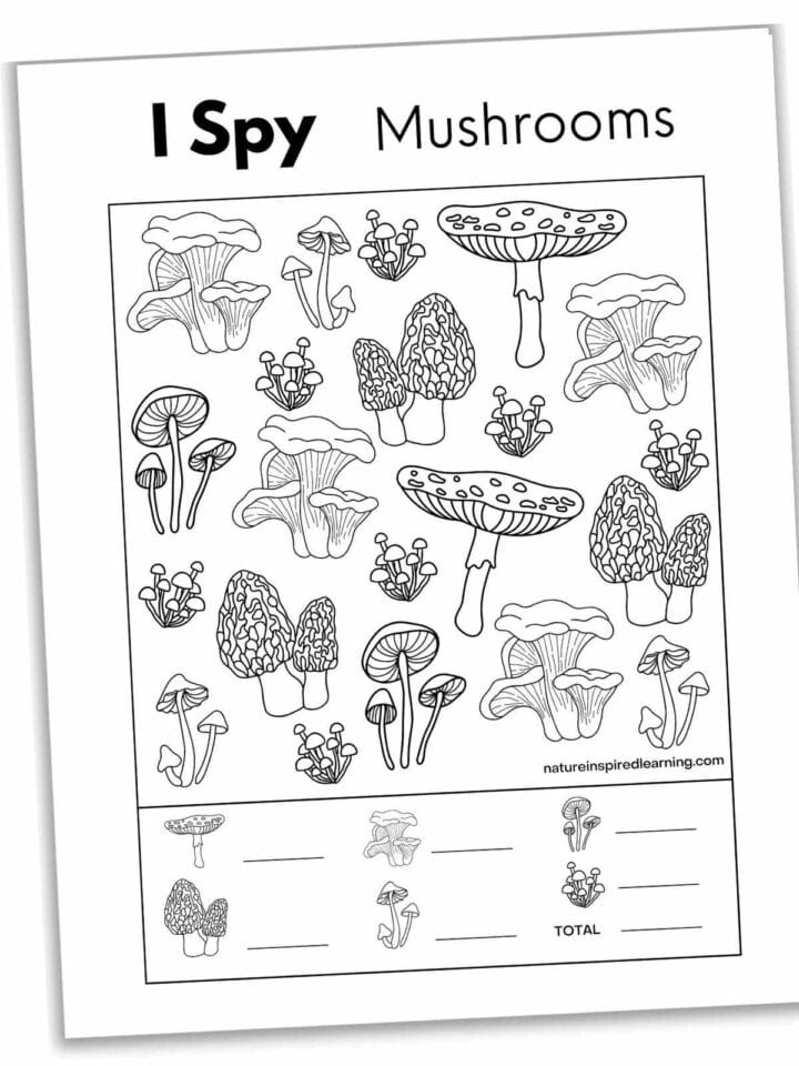 8 Fall I Spy Printables - Nature Inspired Learning