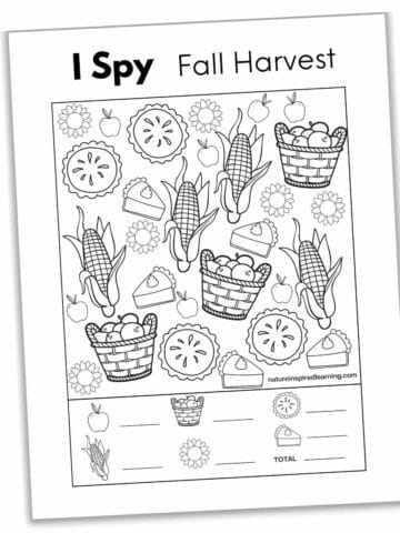 8 Fall I Spy Printables - Nature Inspired Learning