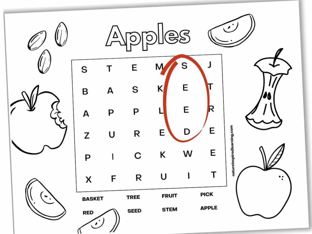 5 Easy Fall Word Searches - Nature Inspired Learning