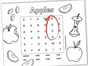 5 Easy Fall Word Searches - Nature Inspired Learning
