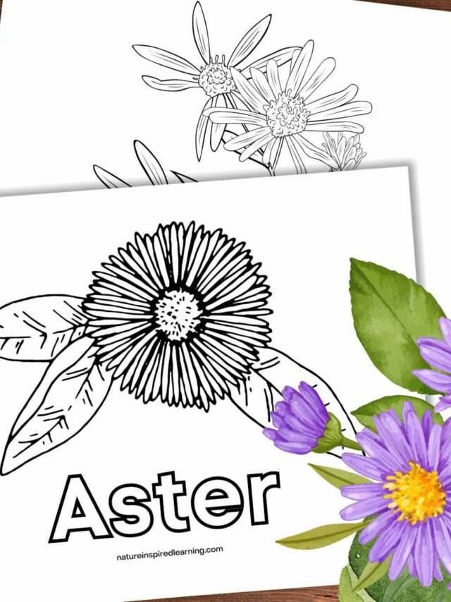 Coloring Pages Archives - Nature Inspired Learning