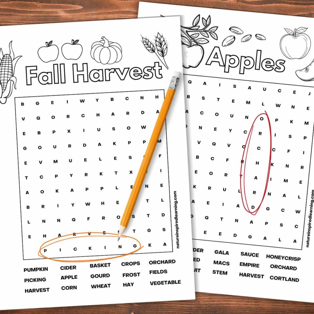 Tracing Numbers 1-5 - Nature Inspired Learning