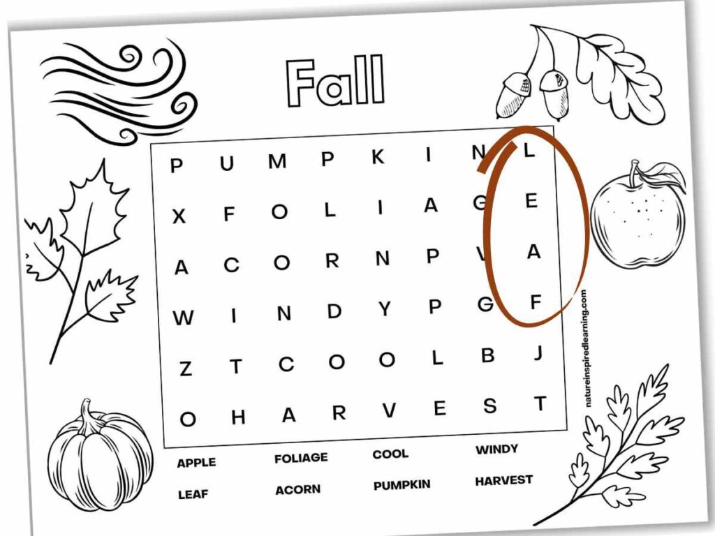 5 Easy Fall Word Searches - Nature Inspired Learning