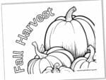 Fall Coloring Pages - Nature Inspired Learning