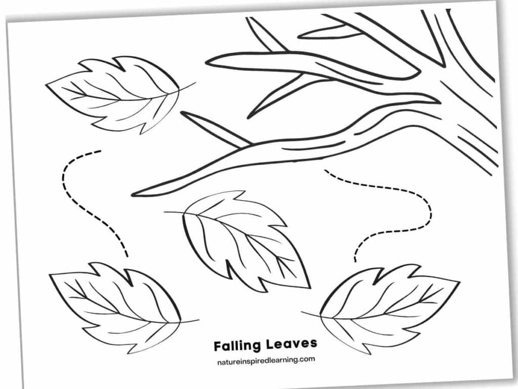 Fall Coloring Pages - Nature Inspired Learning