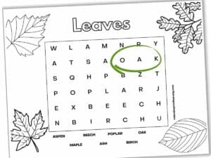 5 Easy Fall Word Searches - Nature Inspired Learning