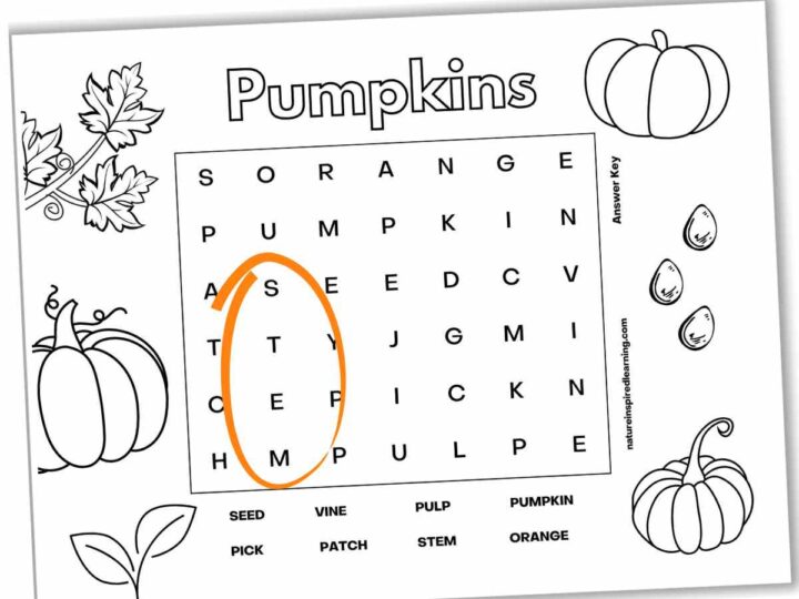 5 Easy Fall Word Searches - Nature Inspired Learning