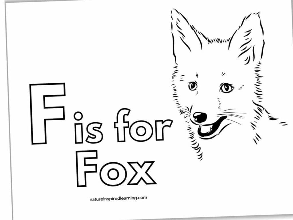 Realistic Fox Coloring Pages - Nature Inspired Learning