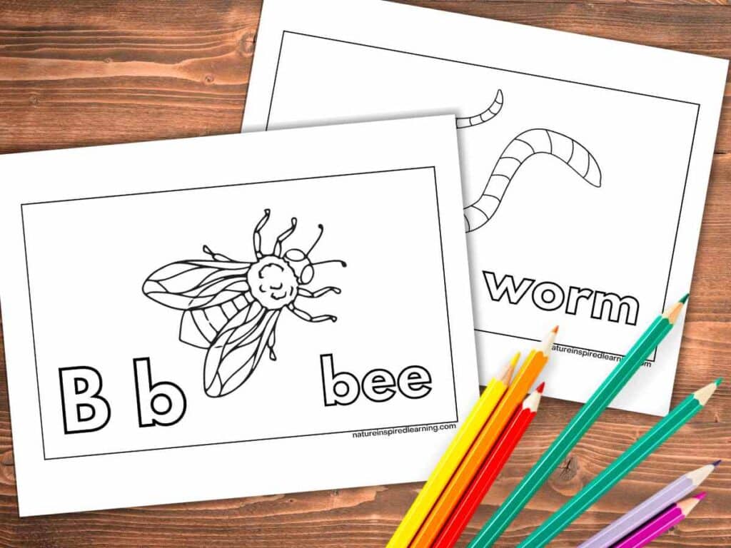 Animal Alphabet Printables - Nature Inspired Learning