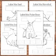 Alphabet Tracing Worksheets (Printable) - Nature Inspired Learning