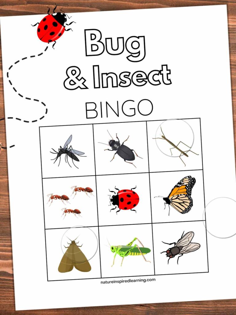 12 Printable Bingo Games for Young Kids - Nature Inspired Learning