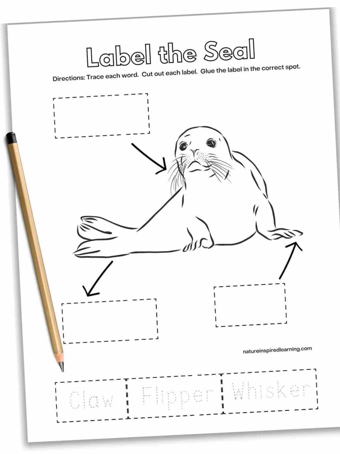 Label the Arctic Animal Worksheets - Nature Inspired Learning