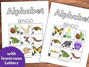 12 Printable Bingo Games for Young Kids - Nature Inspired Learning