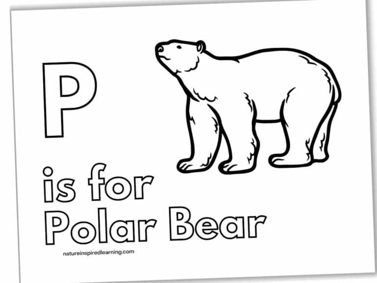 Polar Bear Coloring Pages - Nature Inspired Learning