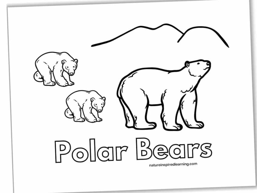 Polar Bear Coloring Pages - Nature Inspired Learning
