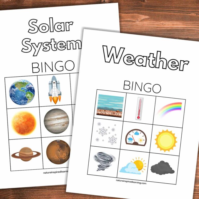 Backyard Bird Bingo Game (Printable) - Nature Inspired Learning