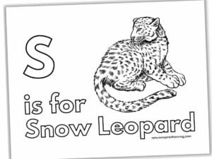 Snow Leopard Coloring Pages - Nature Inspired Learning